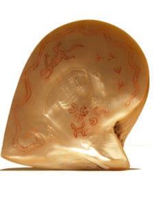 Aboriginal Pearl Shell | Aboriginal Pearlshell | Sell | Value