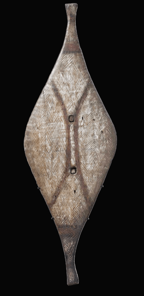 Australian Shield | Australian Shields | Native Shield | Sell ...