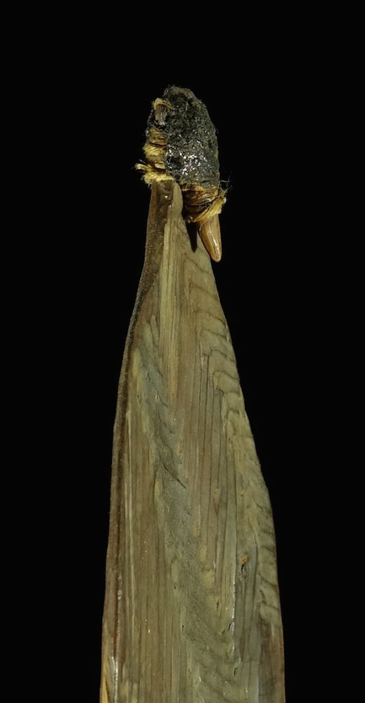 Western Desert Aboriginal Woomera | Spear Thrower For Sale