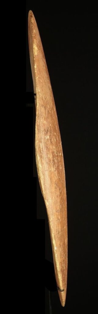 Central Desert Shield | Beanwood Shield | Aboriginal Beanwood Shield