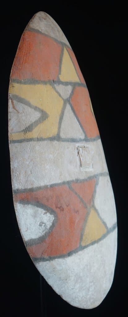 Queensland Rainforest Shield | Transitional Queensland Shield