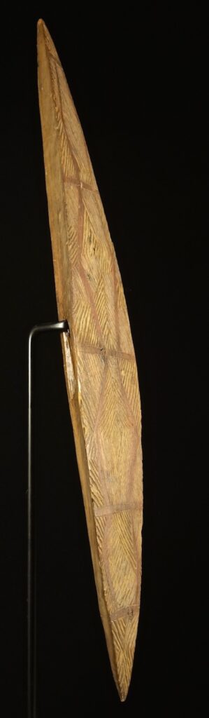 Aboriginal Parrying Shield | aboriginal shield | sell | Buy