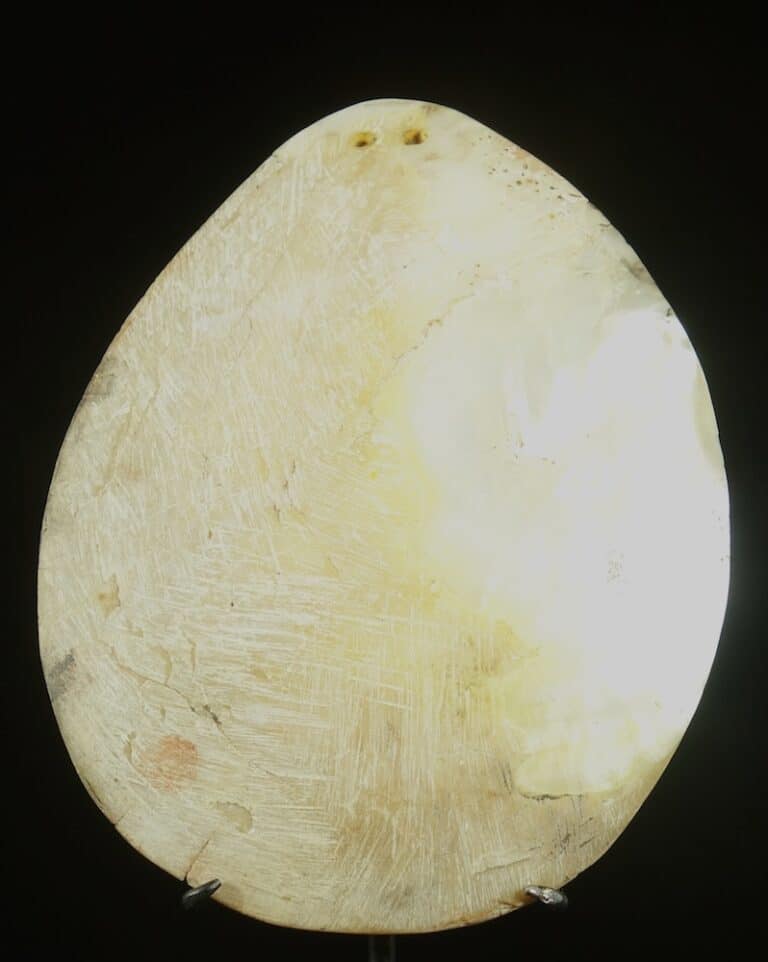Aboriginal Pearl Shell Longka Longka | For Sale | Value