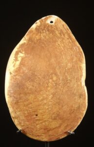 Aboriginal Pearl Shell Adornment | Longka Longka | Riji | Jakoli