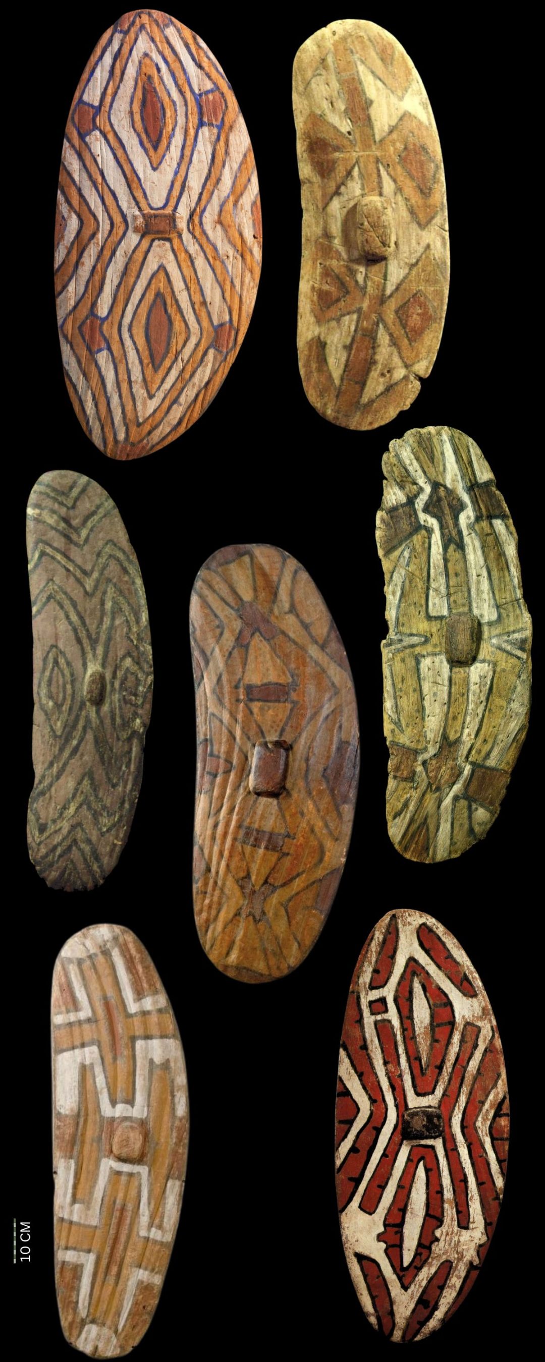 Rainforest Shield | North East Queensland Aboriginal Shield