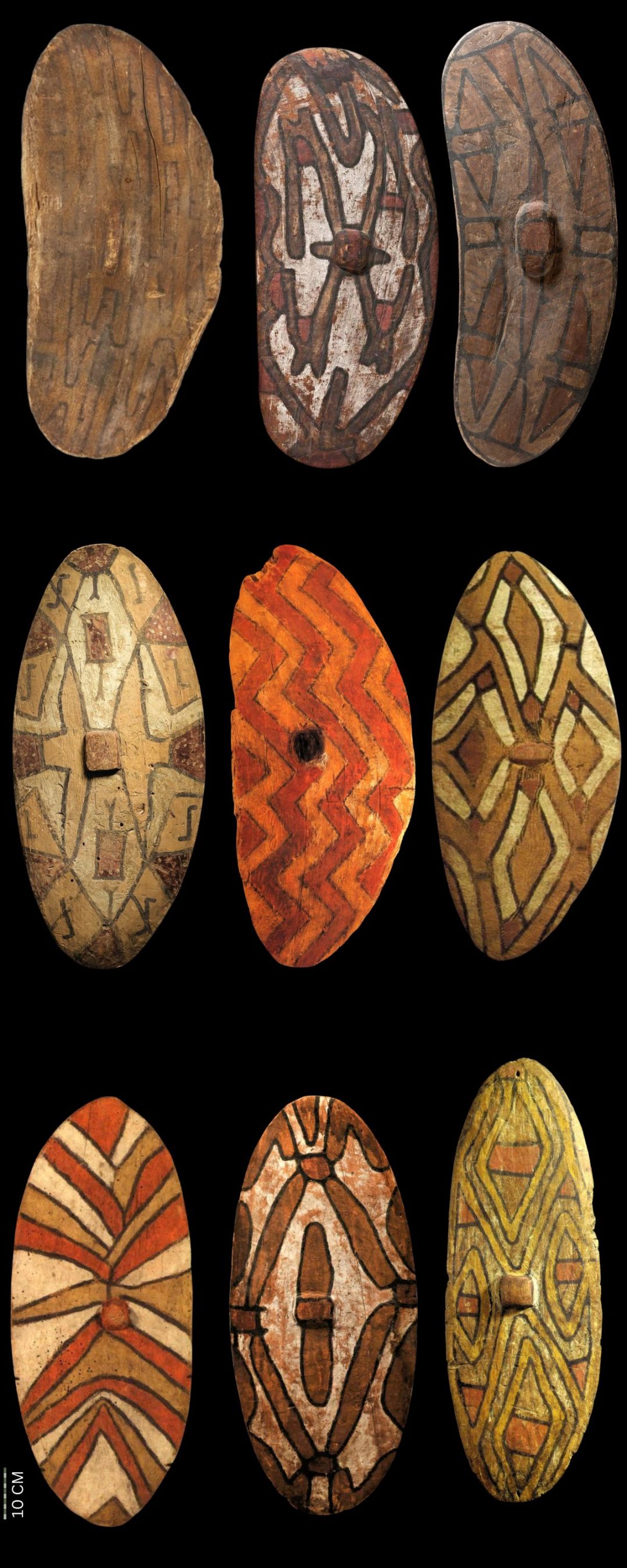 Rainforest Shield | North East Queensland Aboriginal Shield