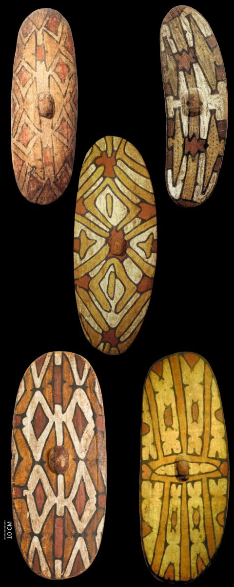 Rainforest Shield | North East Queensland Aboriginal Shield
