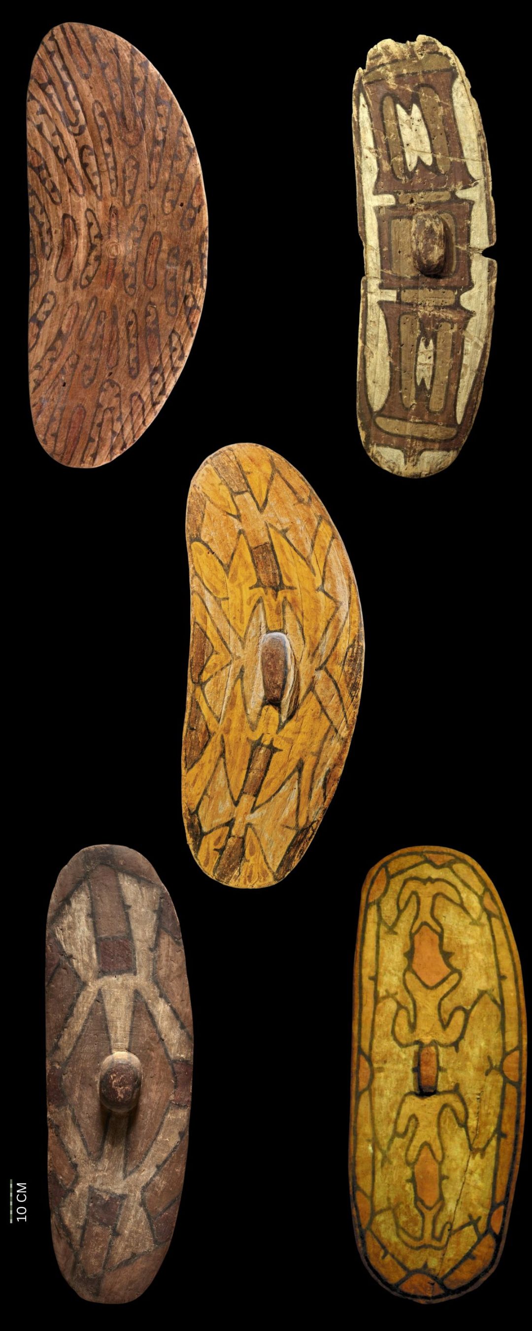 Rainforest Shield | North East Queensland Aboriginal Shield