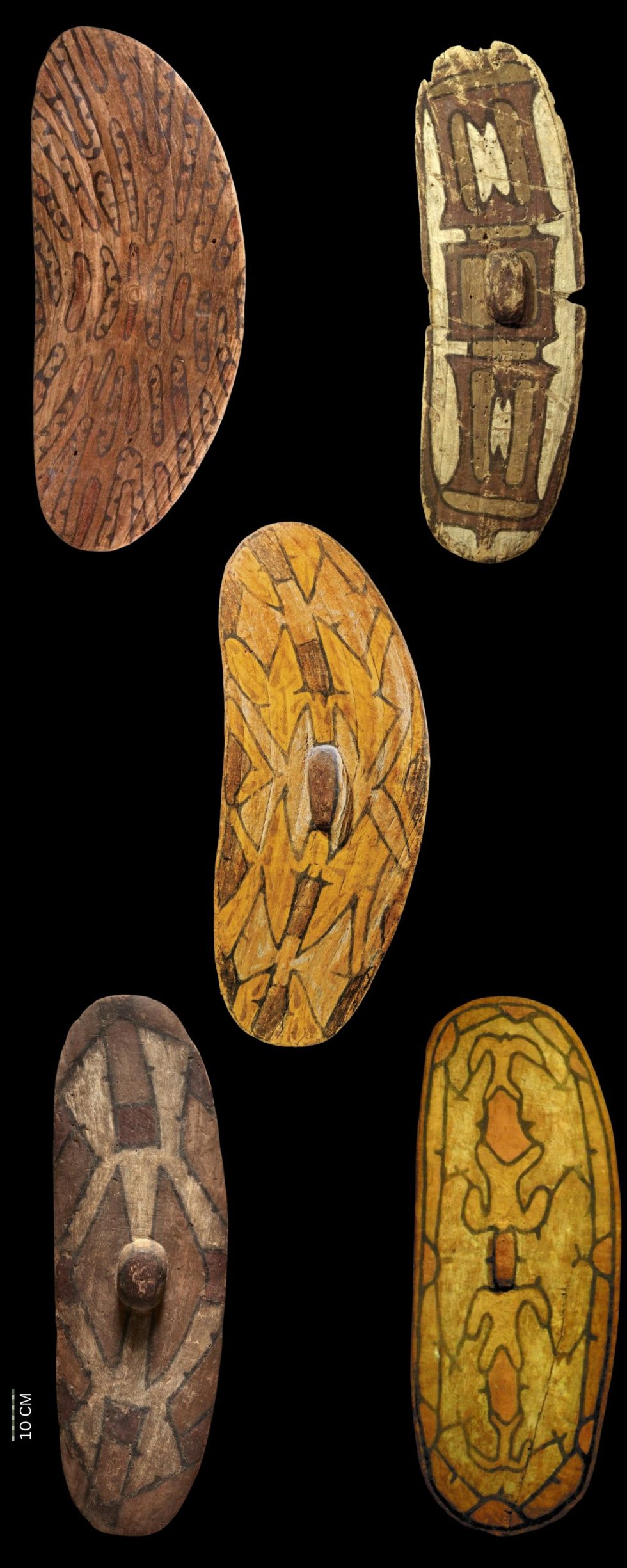 Rainforest Shield | North east Queensland Aboriginal shield