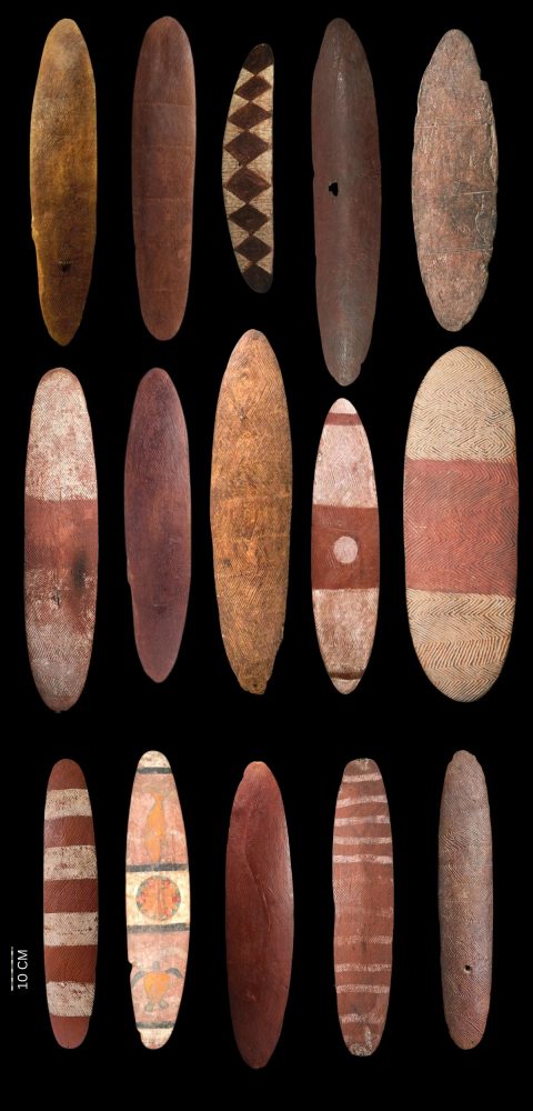 Aboriginal Bardi Shield | Indigenous Shield | Value | Sell