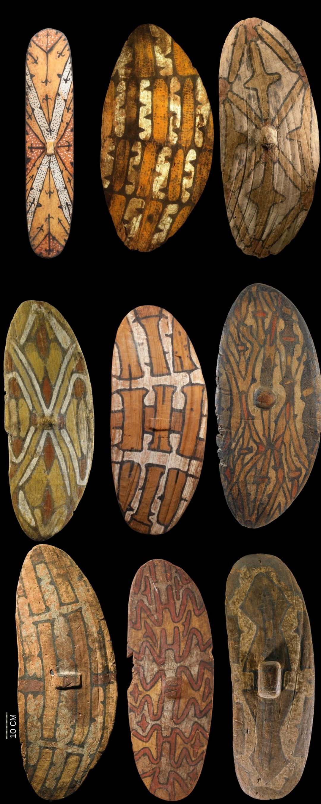 Rainforest Shield | North East Queensland Aboriginal Shield